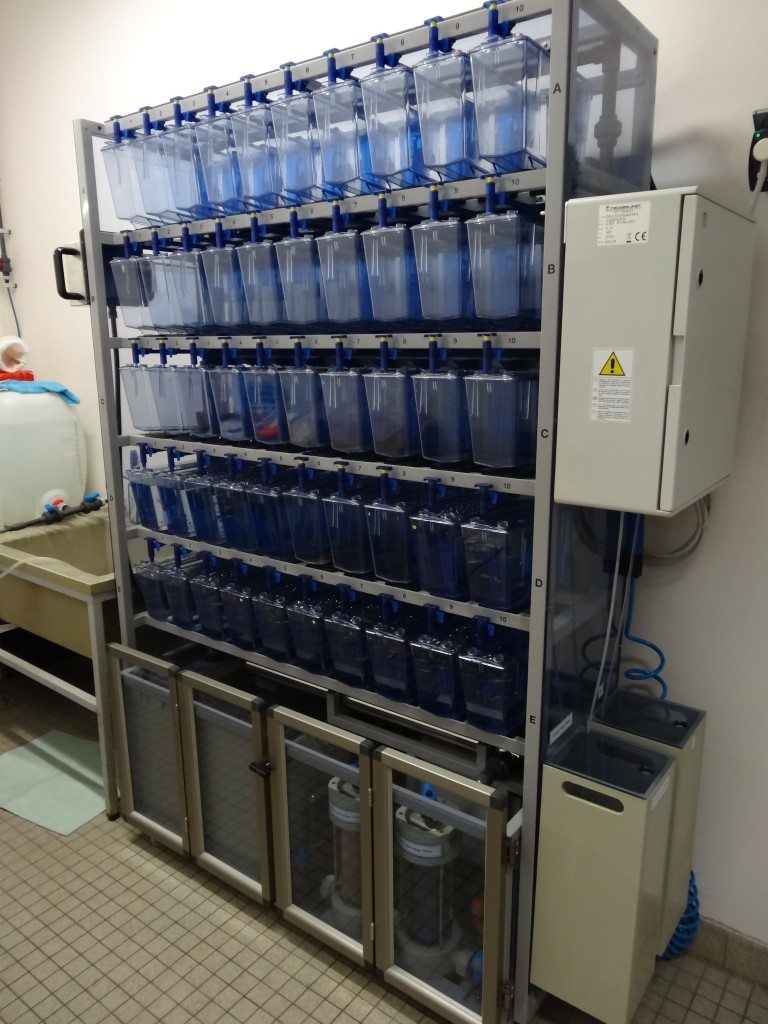 Lab facilities – Laboratory of Evolutionary and Adaptive Physiology – LEAP