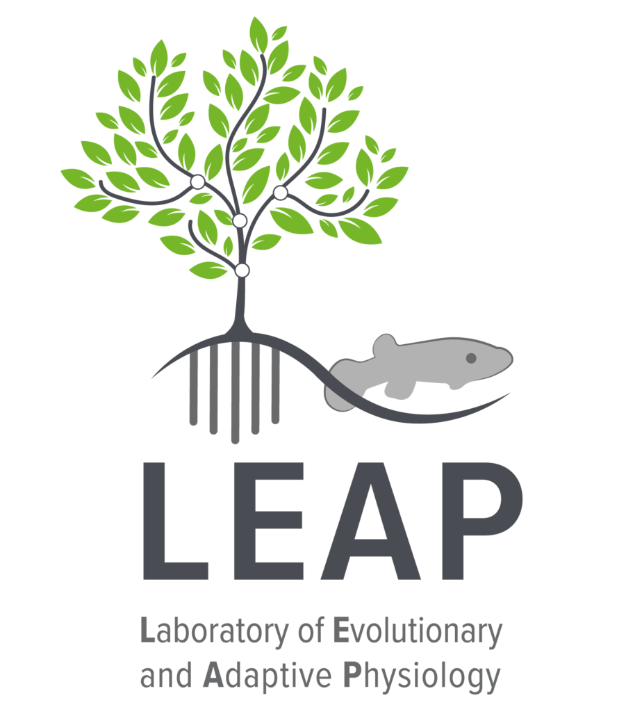 New logo for LEAP – Laboratory of Evolutionary and Adaptive Physiology