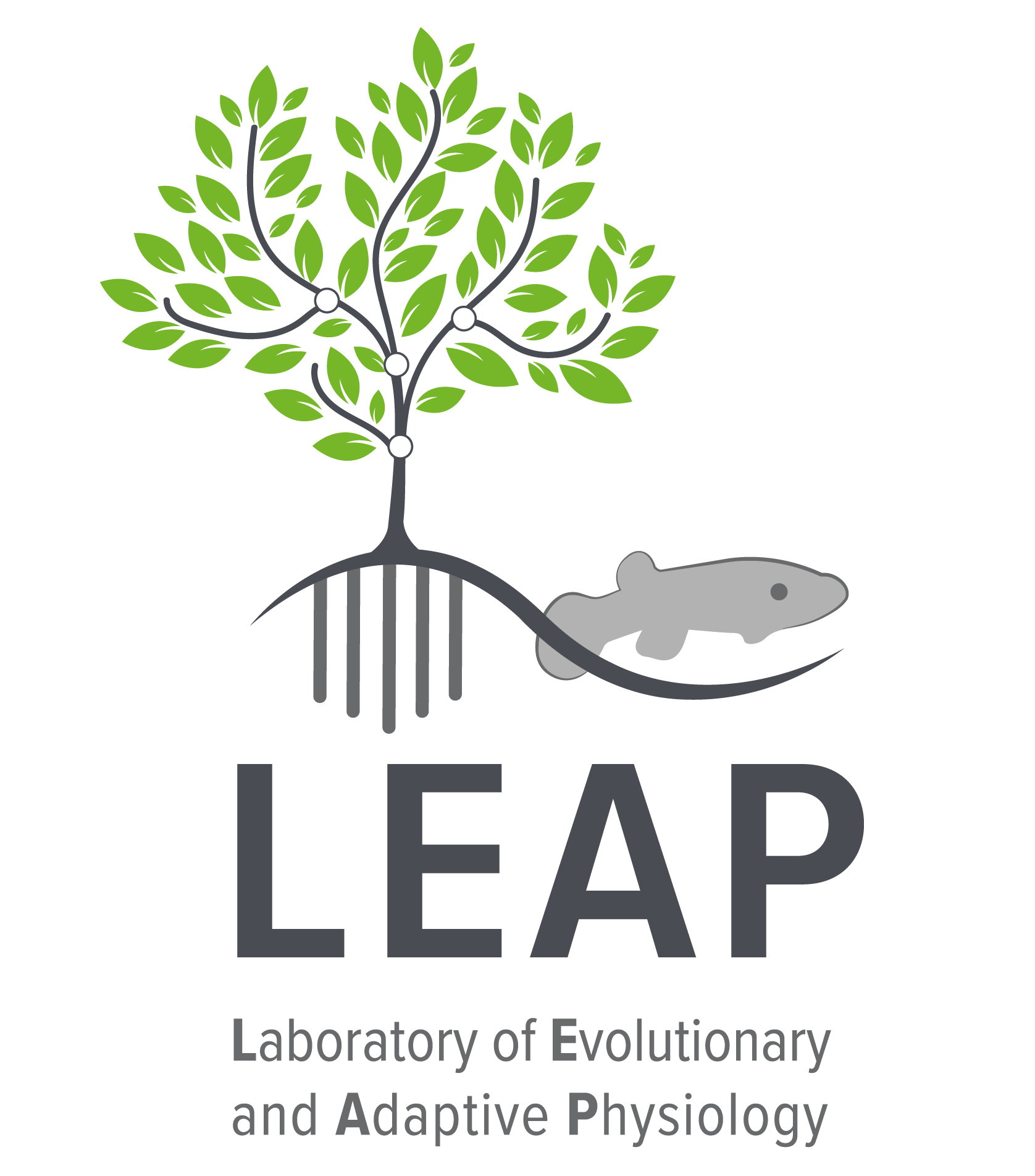 New logo for LEAP – Laboratory of Evolutionary and Adaptive Physiology